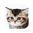 Size - Visual Studio Marketplace